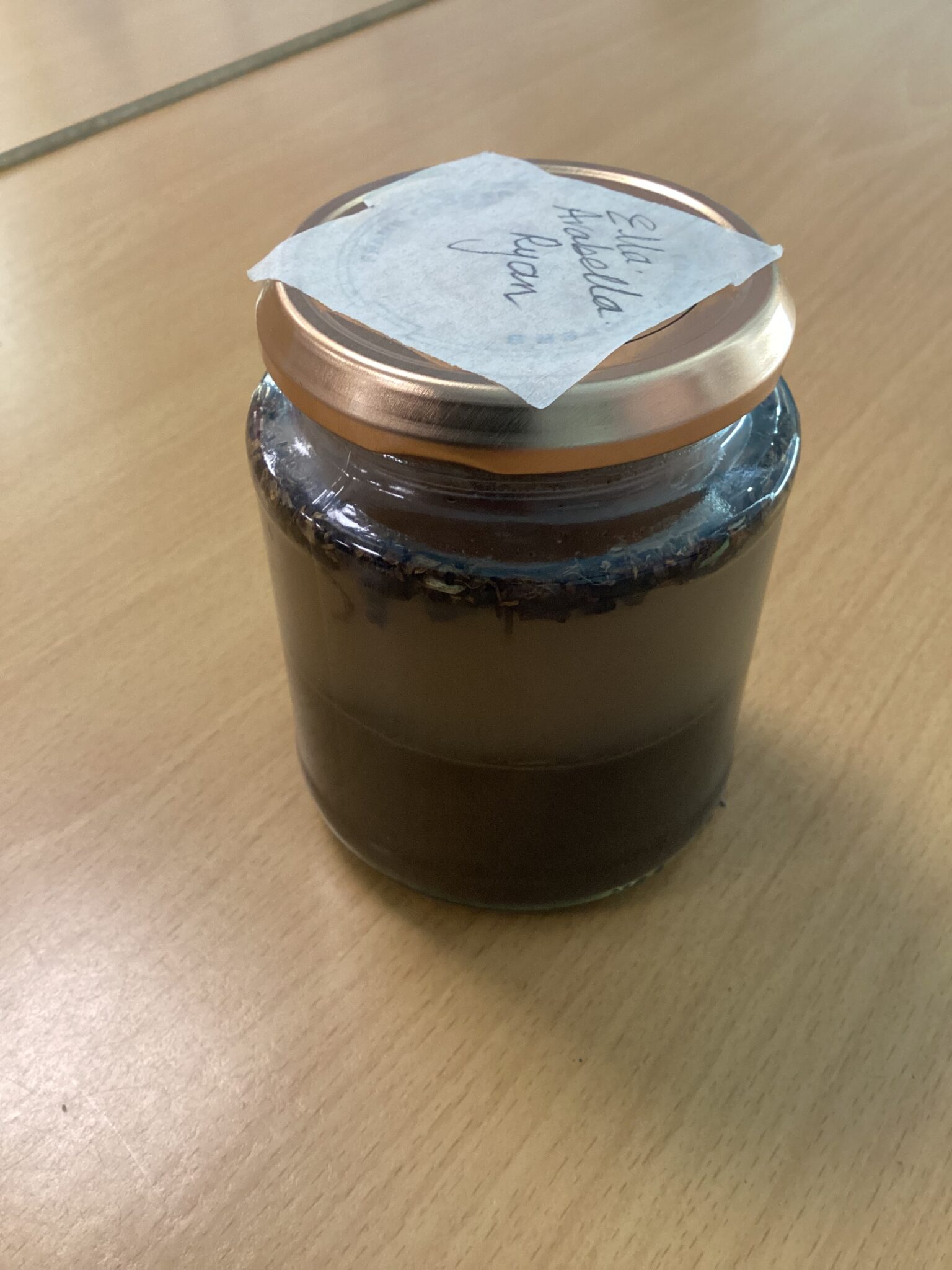 Soil Separation - St Lucia's CoE Primary School