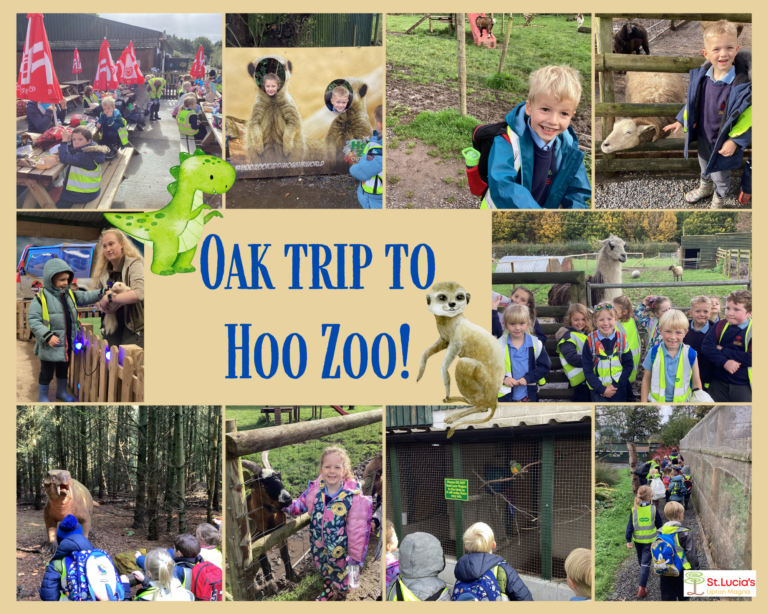 Oak trip to Hoo Zoo - St Lucia's CoE Primary School
